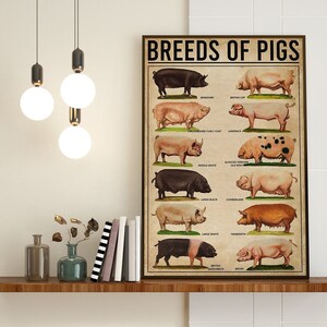 Farmhouse Pig Wall Art, Breeds of Pigs Poster, Vintage Pig Farm Poster ...