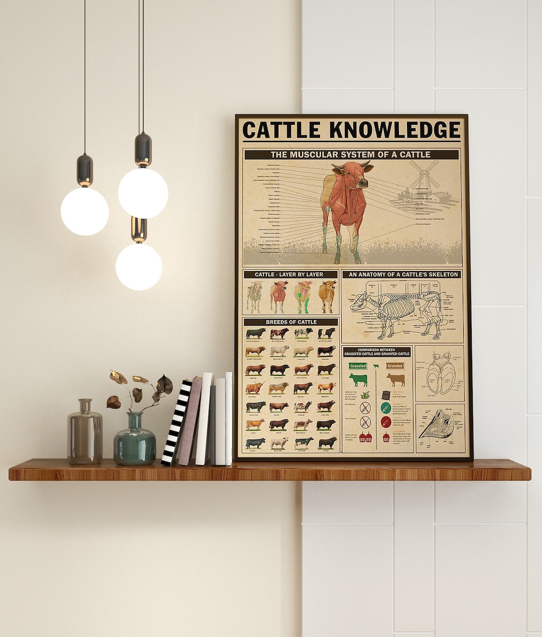 Cattle Knowledge, Breeds of Cattle Poster, Vintage Cattle Wall Art ...