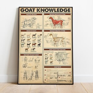 Goat Knowledge Poster Part of the Goat Breeds of Goat Goat - Etsy