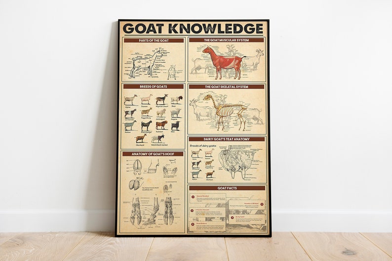 Goat Knowledge Poster Part of the Goat Breeds of Goat Goat - Etsy