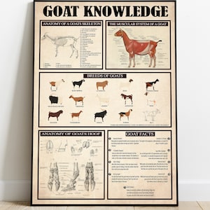 Goat Knowledge Poster, Part of the Goat, Breeds of Goat, Goat Muscular ...
