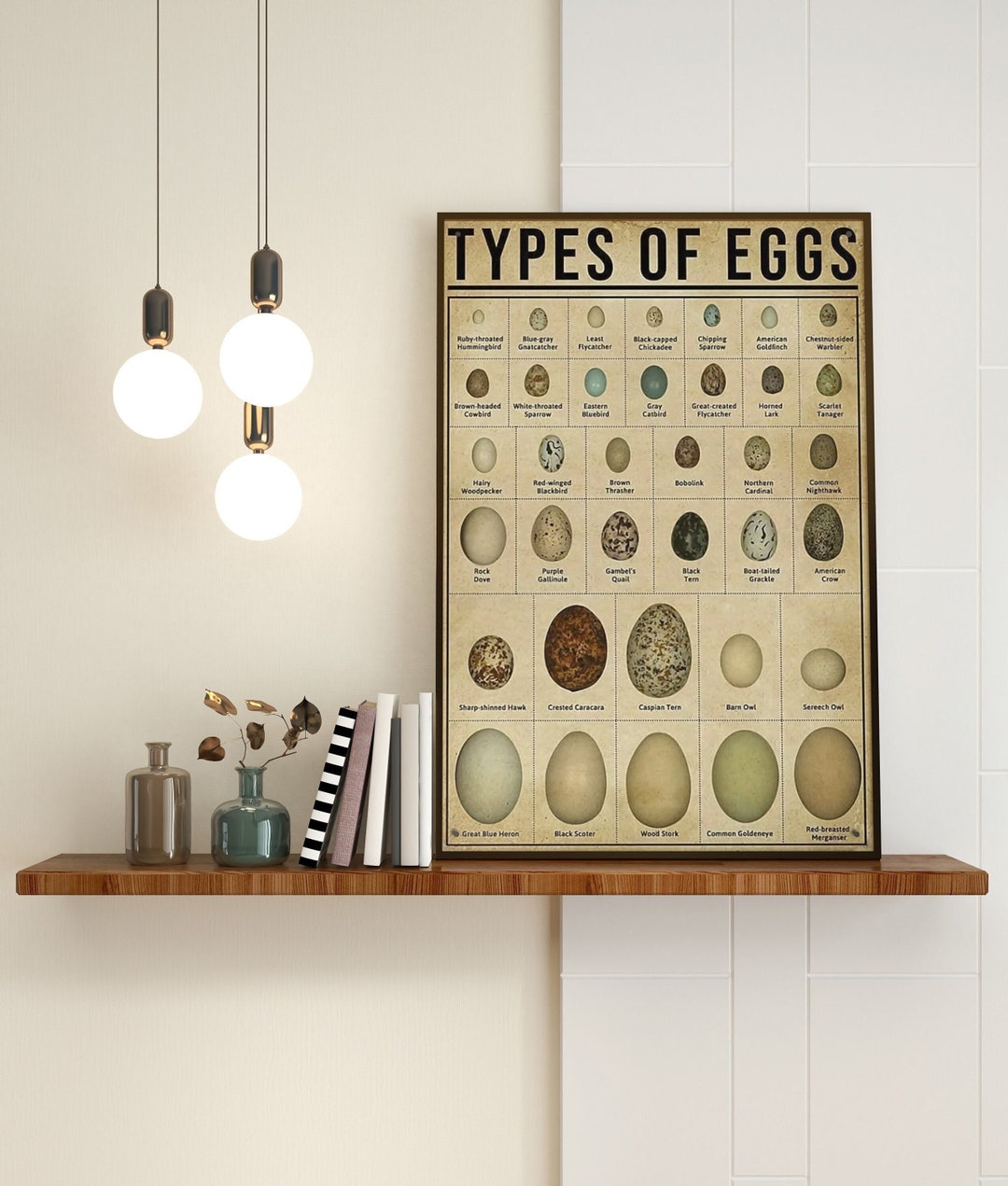 Types of Egg Poster, Kitchen Decoration, Egg Knowledge Wall Decor, Kitchen Wall Hanging, Vintage ...