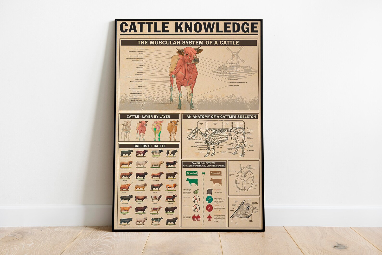 Cattle Knowledge Breeds of Cattle Poster Vintage Cattle Wall - Etsy