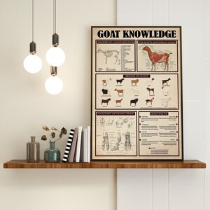 Goat Knowledge Poster, Part of the Goat, Breeds of Goat, Goat Muscular ...