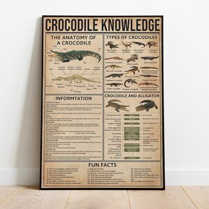 Crocodile Knowledge Print, Anatomy of A Crocodile, Crocodile and ...