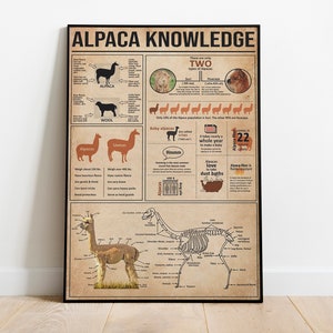 Alpaca Knowledge Print, Alpaca Vs Llamas, Anatomy of A Alpaca, Alpaca ...