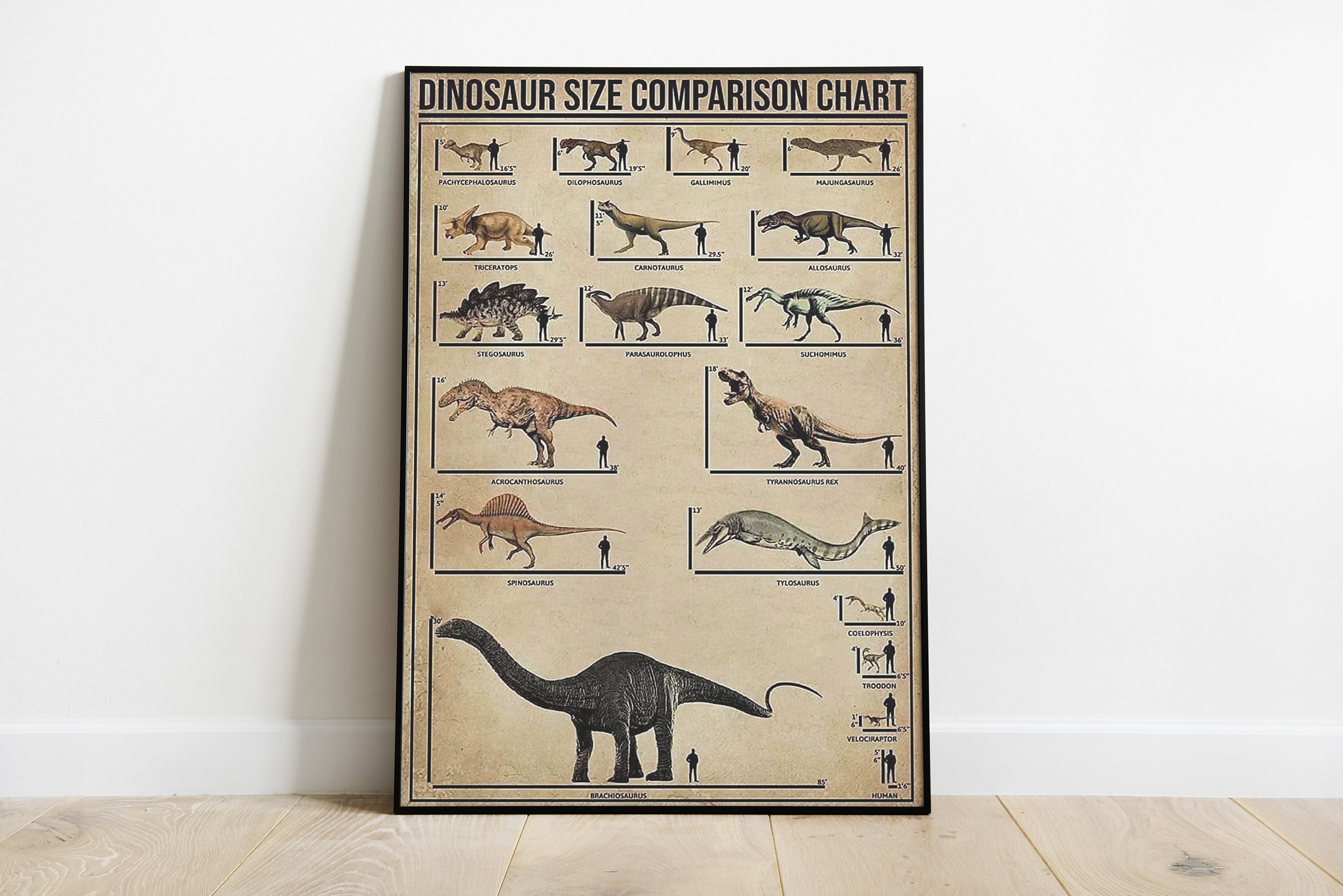 Dinosaur Size Comparison Chart