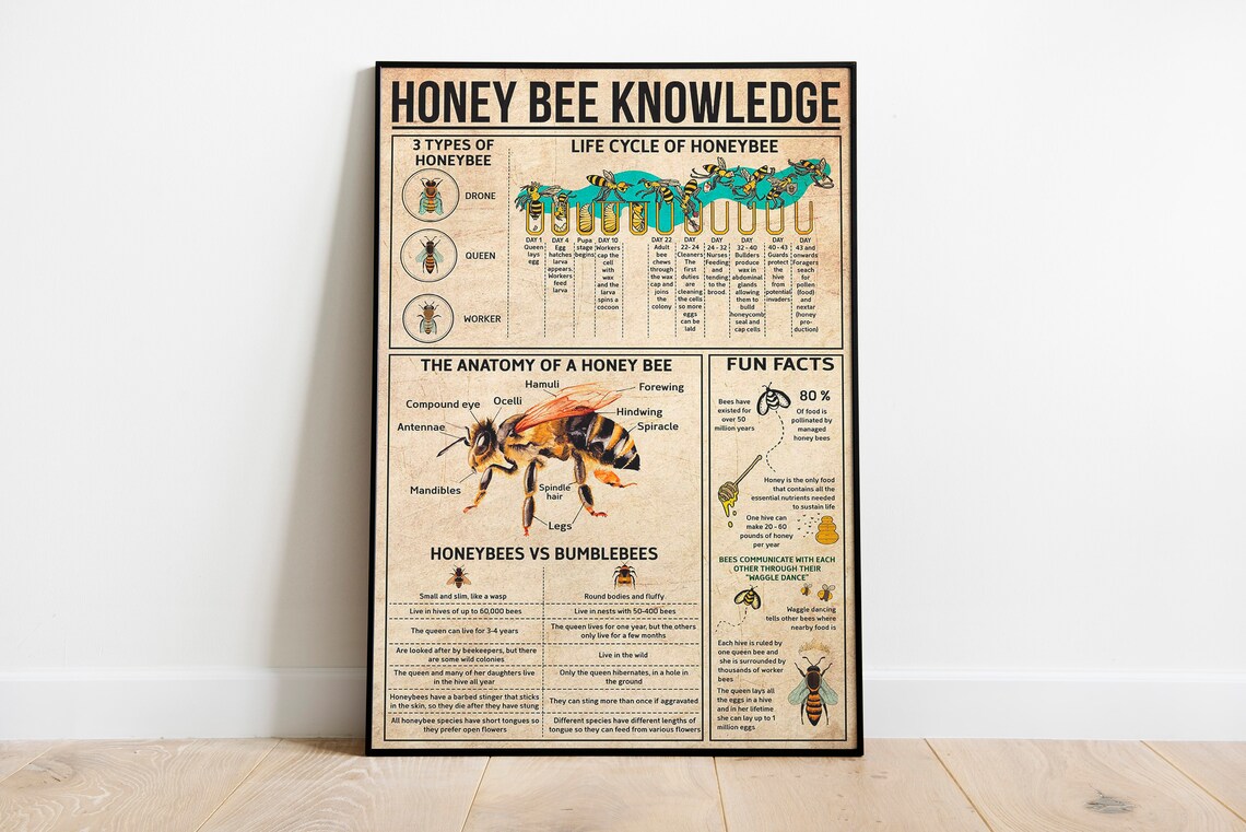 Honey Bee Knowledge Poster Kitchen Decoration Honey Bee - Etsy