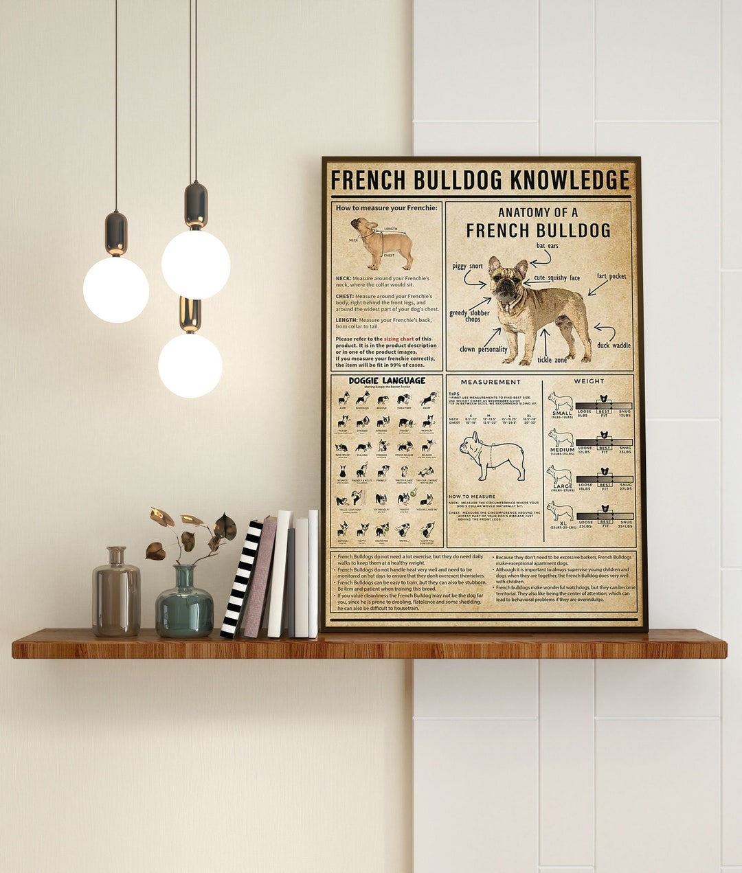 French Bulldog Knowledge Poster, Anatomy of A French Bulldog, Gift for ...