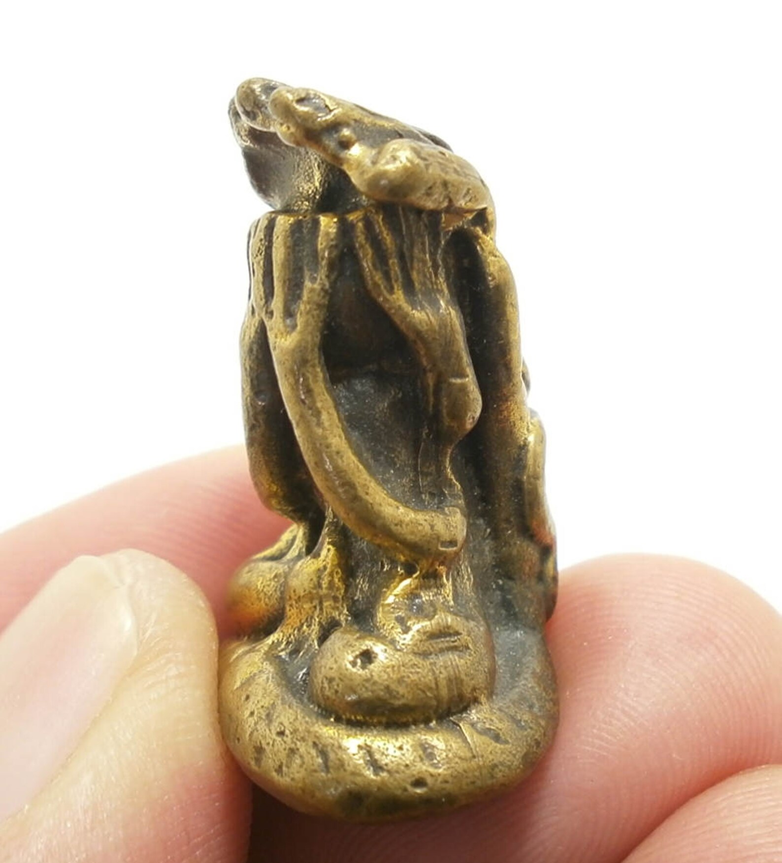 Phra Pidta Pitta Nakprok Protect by Naga Snake Thai Mini Brass Amulet ...