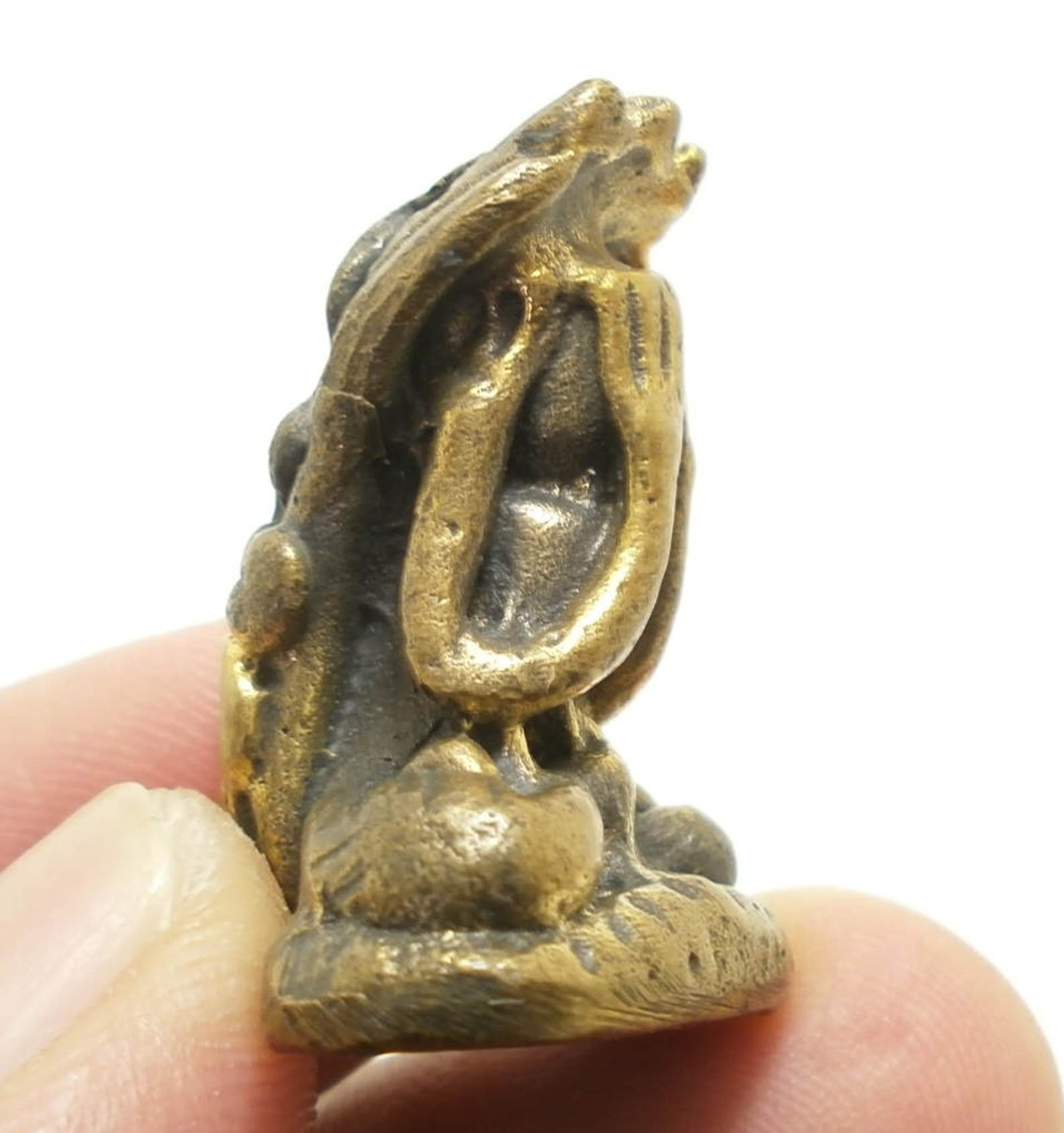 Phra Pidta Pitta Nakprok Protect by Naga Snake Thai Mini Brass Amulet ...
