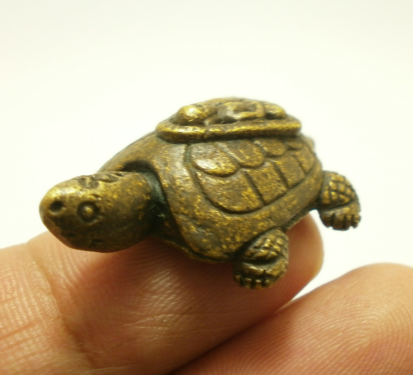 Tiny Turtle Mini Brass Real Magic Amulet LP Ngern Miracle | Etsy