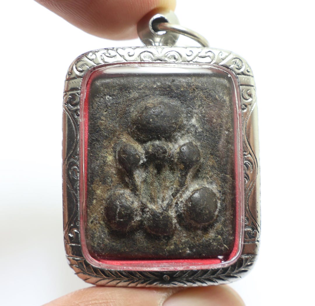 Phra Pidta Graduk Phii Black Amulet: Thai Buddha Healing Pendant - Etsy
