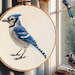 Blue Jay - Downloadable Cross Stitch Pattern - Etsy