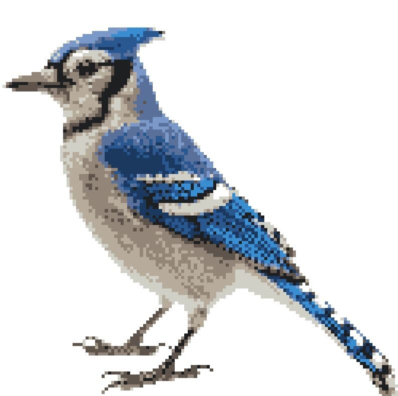 Blue Jay - Downloadable Cross Stitch Pattern - Etsy