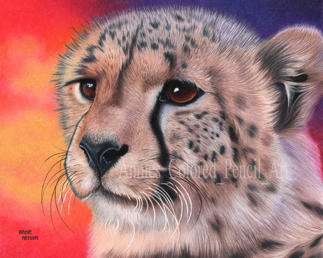 Original Cheetah Colored Pencil Drawing - Etsy