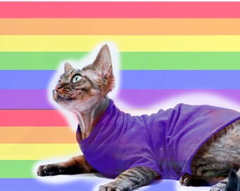 Sphynx Cat Clothes Cat Toys Cat Clothes Cat by SimplySphynx