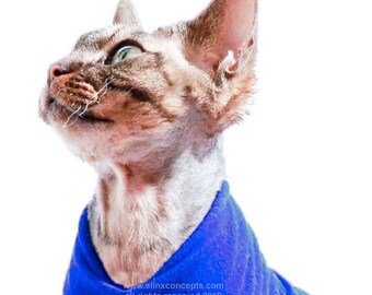 Sphynx Cat Clothes Cat Toys Cat Clothes Cat by SimplySphynx
