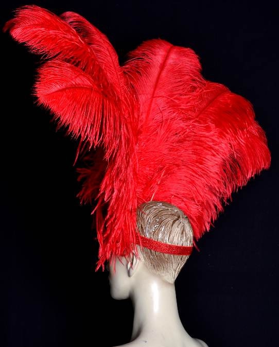 Ostrich Feather Headdress Showgirl Samba Carnival . MADE IN USA - Etsy