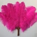 Feather Fan - Etsy