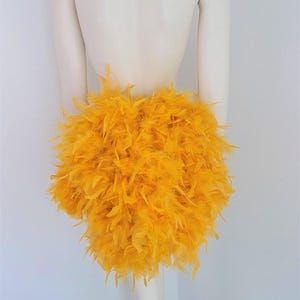 Tutu Dance Fantail Costume Simple Economical Feather Tail Fan Tail Back ...