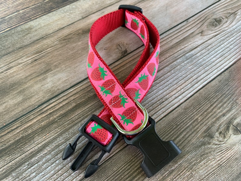 Strawberry Dog Collar, Small and Large Dog Collar, Adjustable Size, Red ...