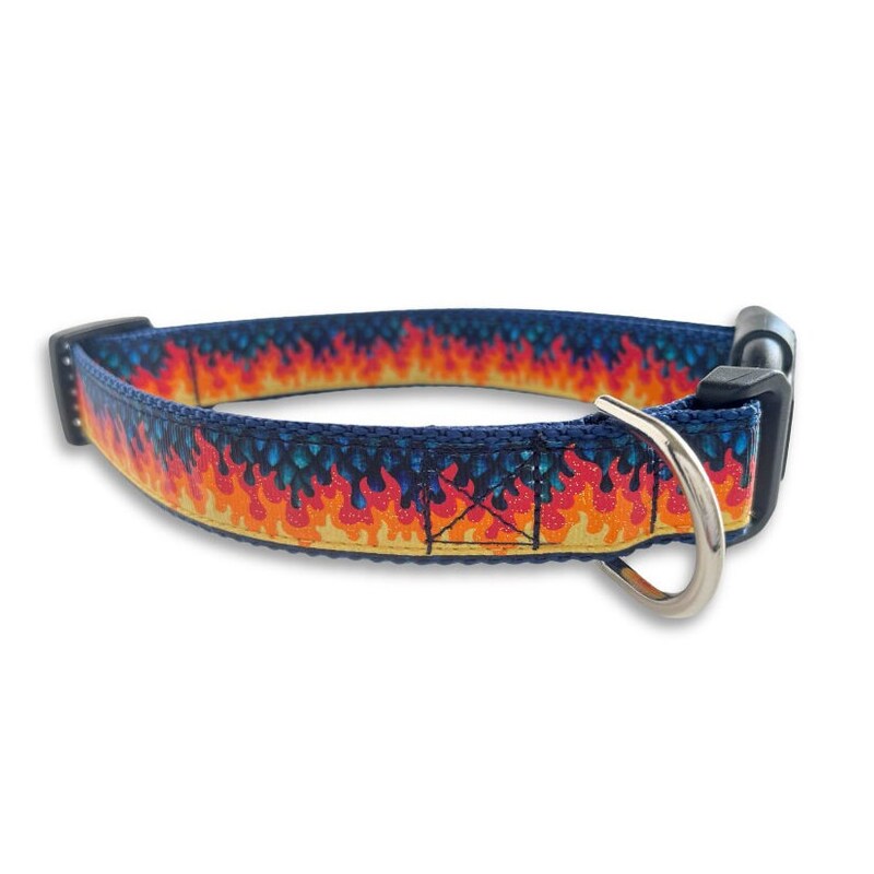 Fire/ Ice Dog - Etsy