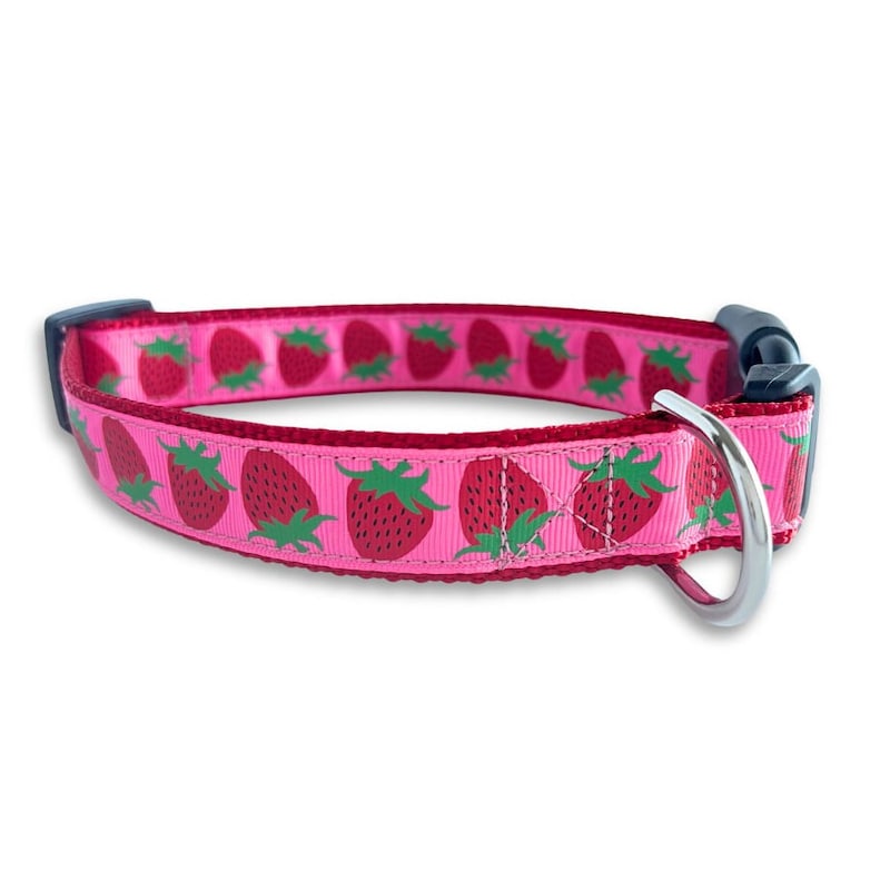 Cute Dog Collar - Etsy