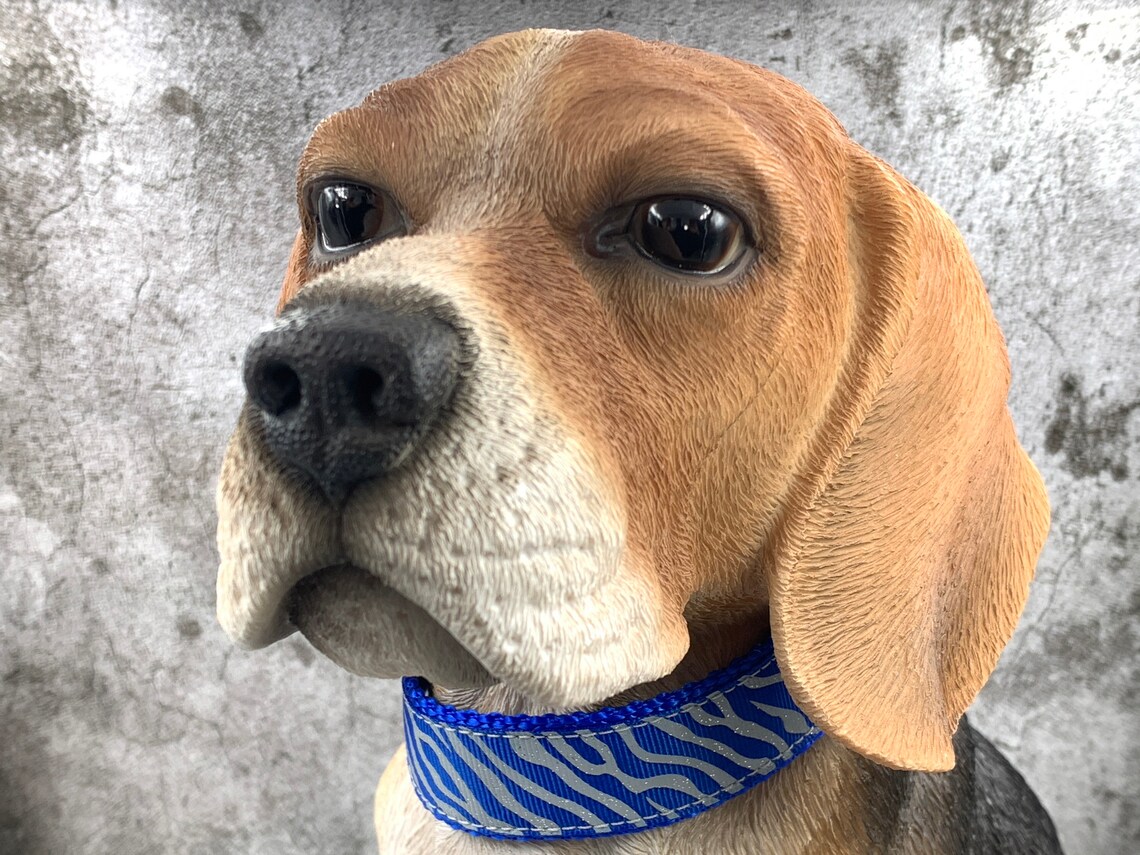 Tiger Print Dog Collar Medium and Large Adjustable Size Blue - Etsy