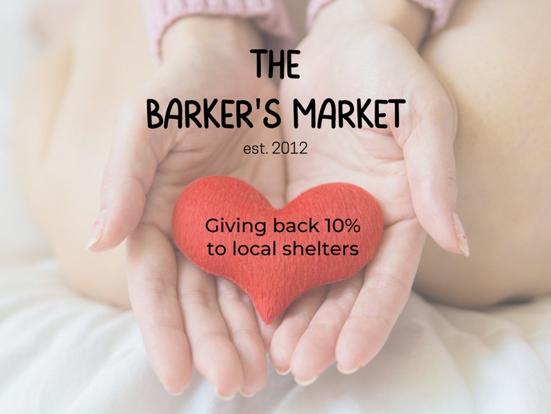 Spider Web Collar Breakaway Cat Collar Mini Dog Collar - Etsy