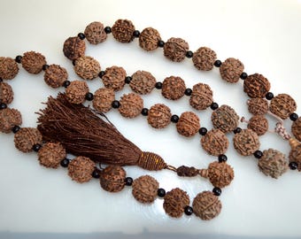 Bodhi tree seeds | Etsy