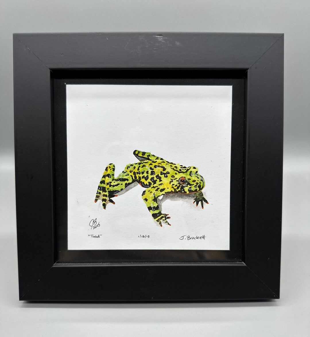 Toad Watercolor Painting, Original Art, Small Art - Etsy