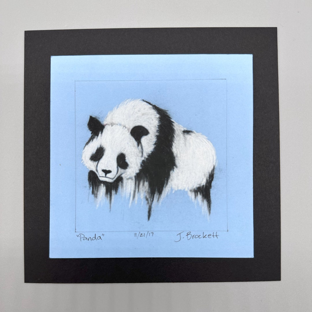 Panda, Chalk Pastel Drawing, Original Art, Small Art - Etsy