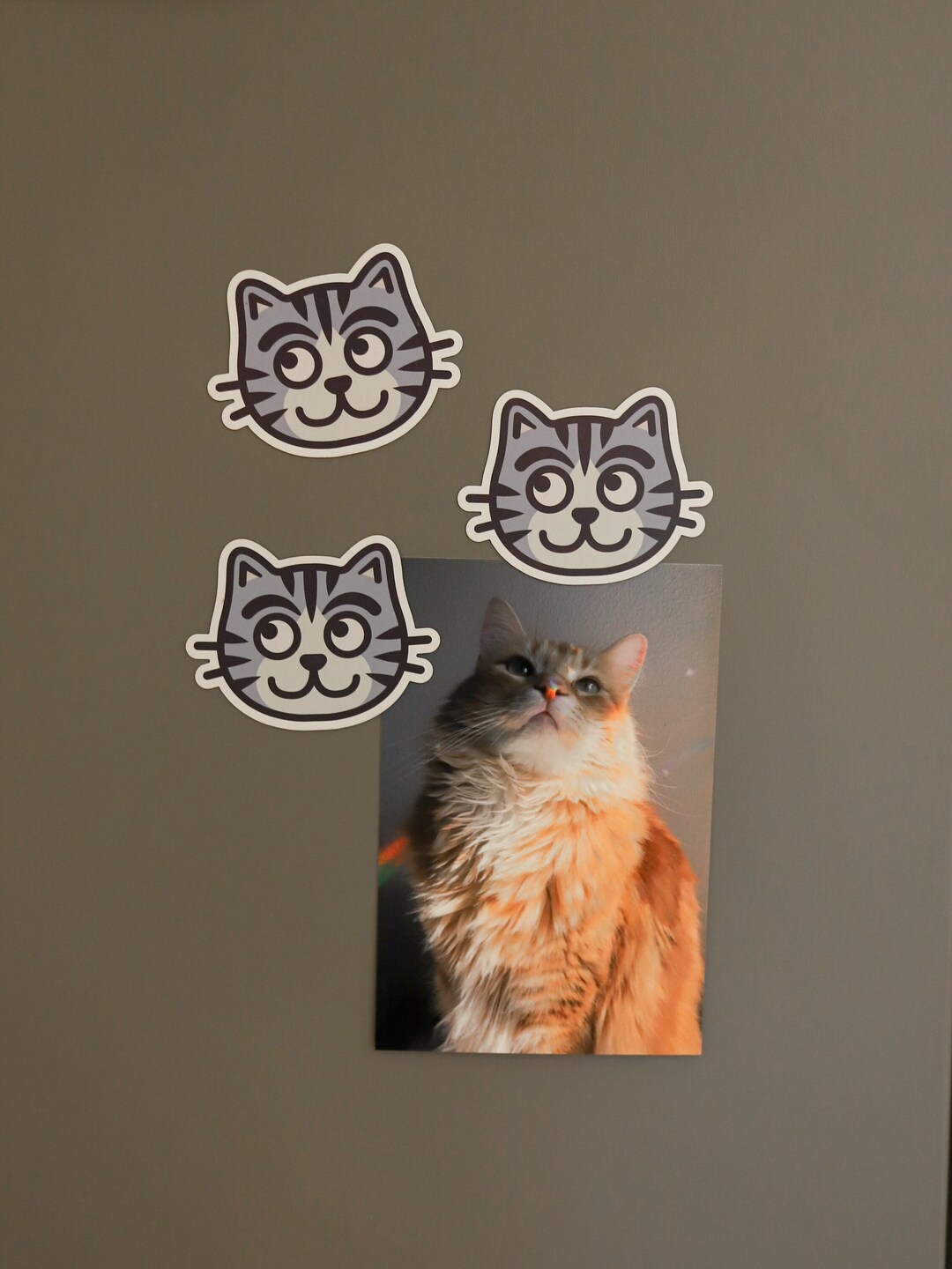 Cat Magnet, Tabby Cat Magnet, Kitten Magnet, Refrigerator Magnet ...