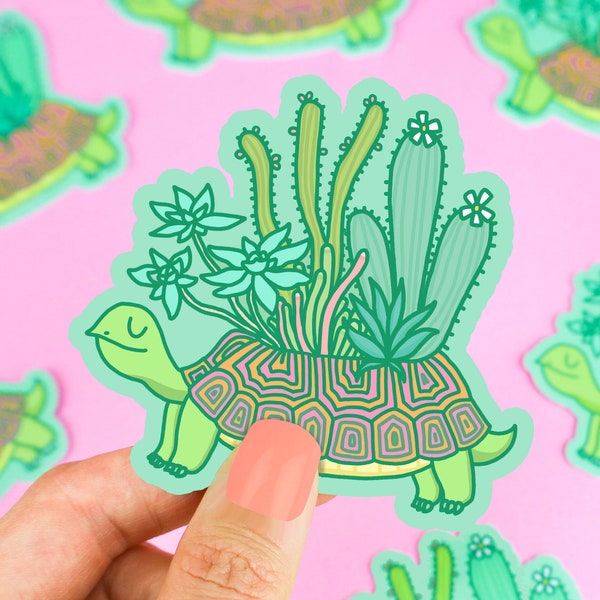 Turtle Cactus - Etsy