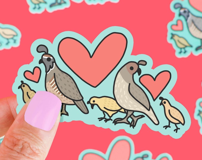 Quail Sticker Gambel Quail Southwestern Bird Stickers Cute - Etsy