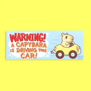 Funny Capybara Driving Car Bumper Sticker - Waterproof Vinyl Decal - Etsy