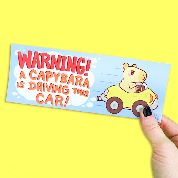 Capybara Car Decal - Etsy