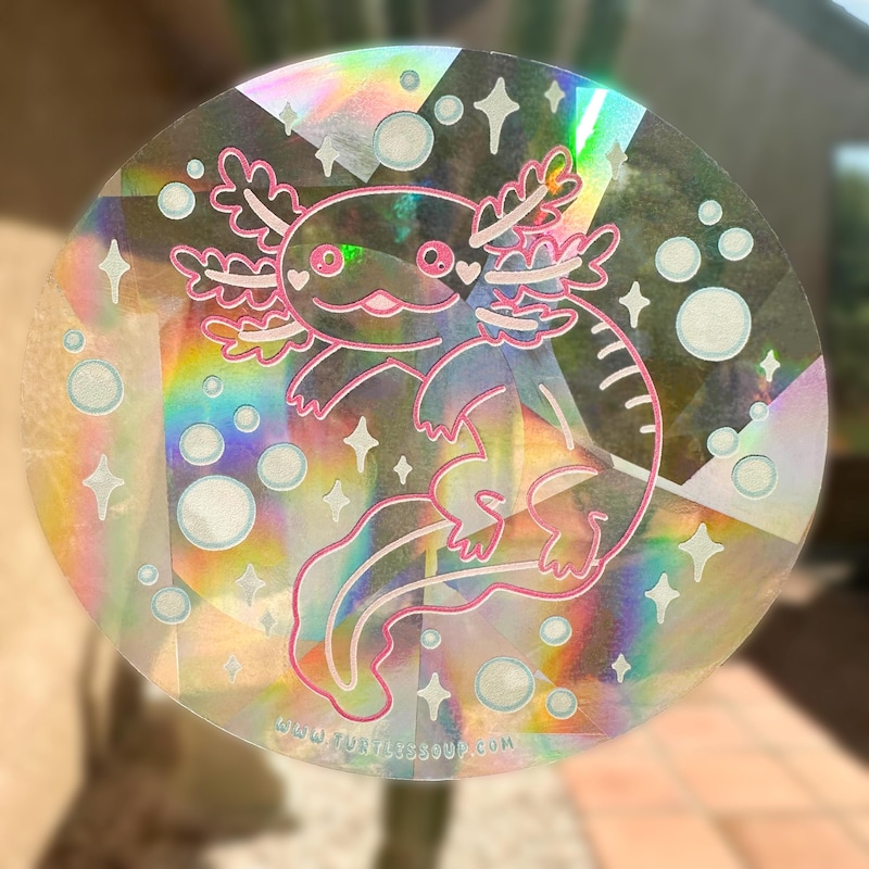Lightcatcher - Etsy