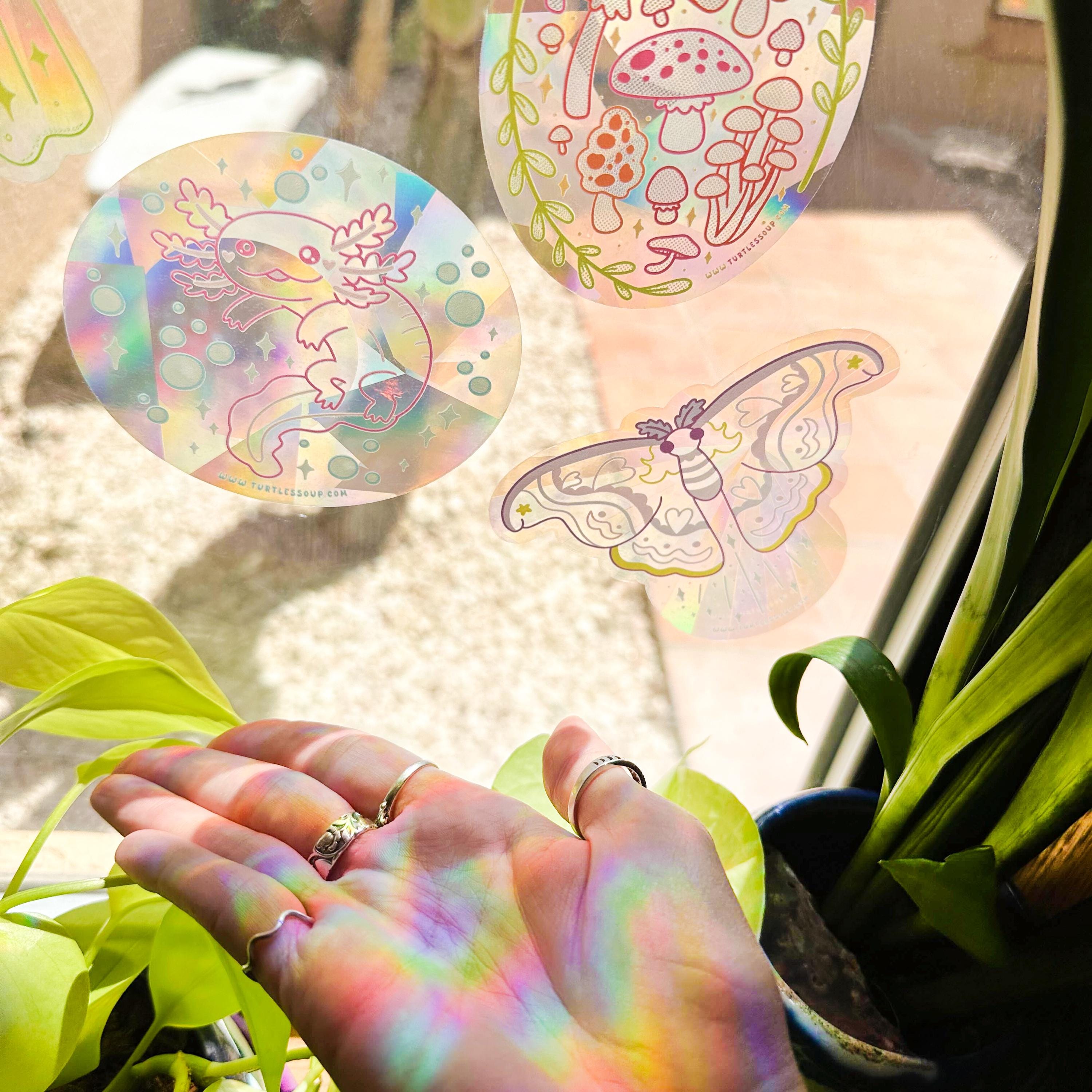 Axolotl Suncatcher Sticker: Rainbow Window Decal, Lightcatcher - Etsy