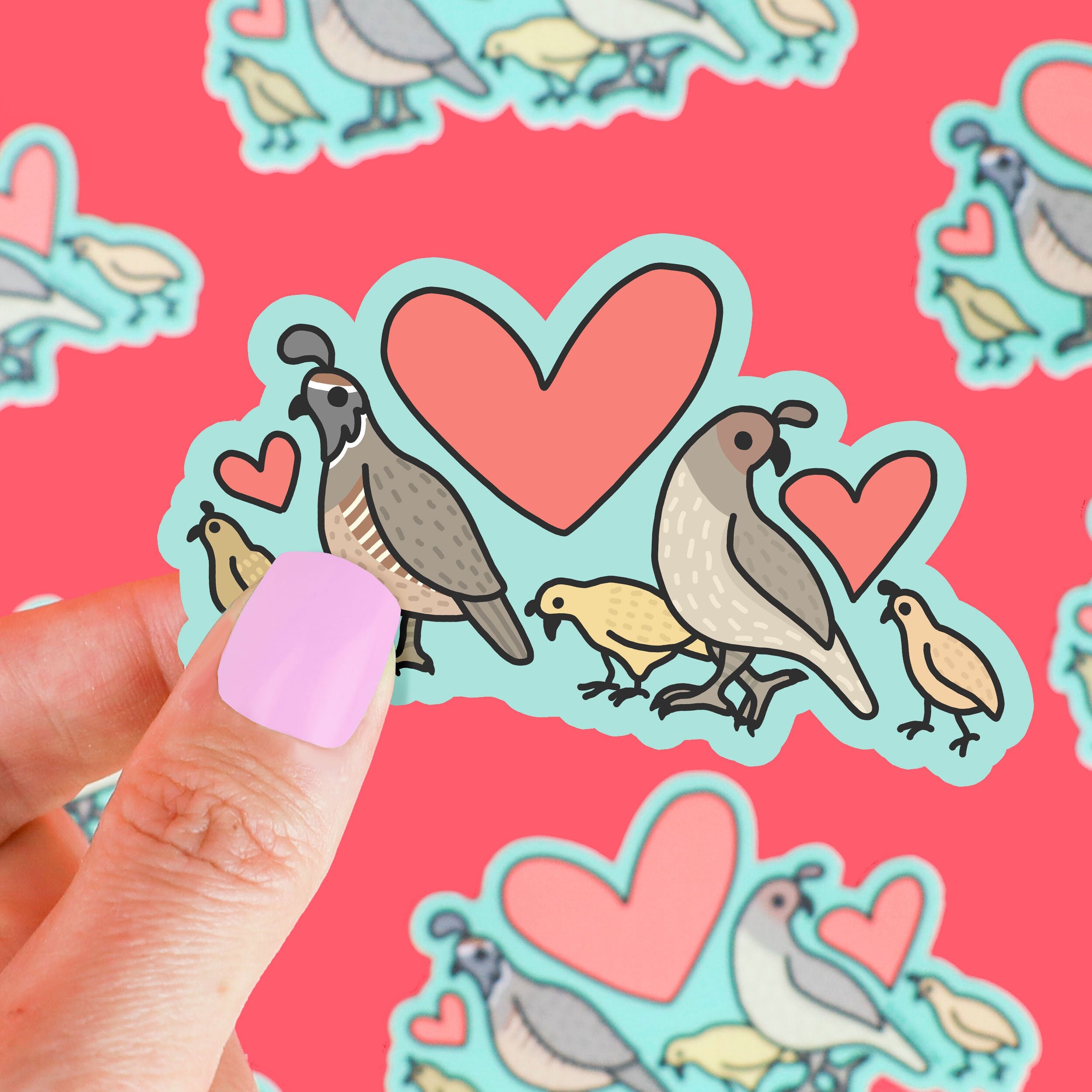 Quail Sticker Gambel Quail Southwestern Bird Stickers Cute | Etsy