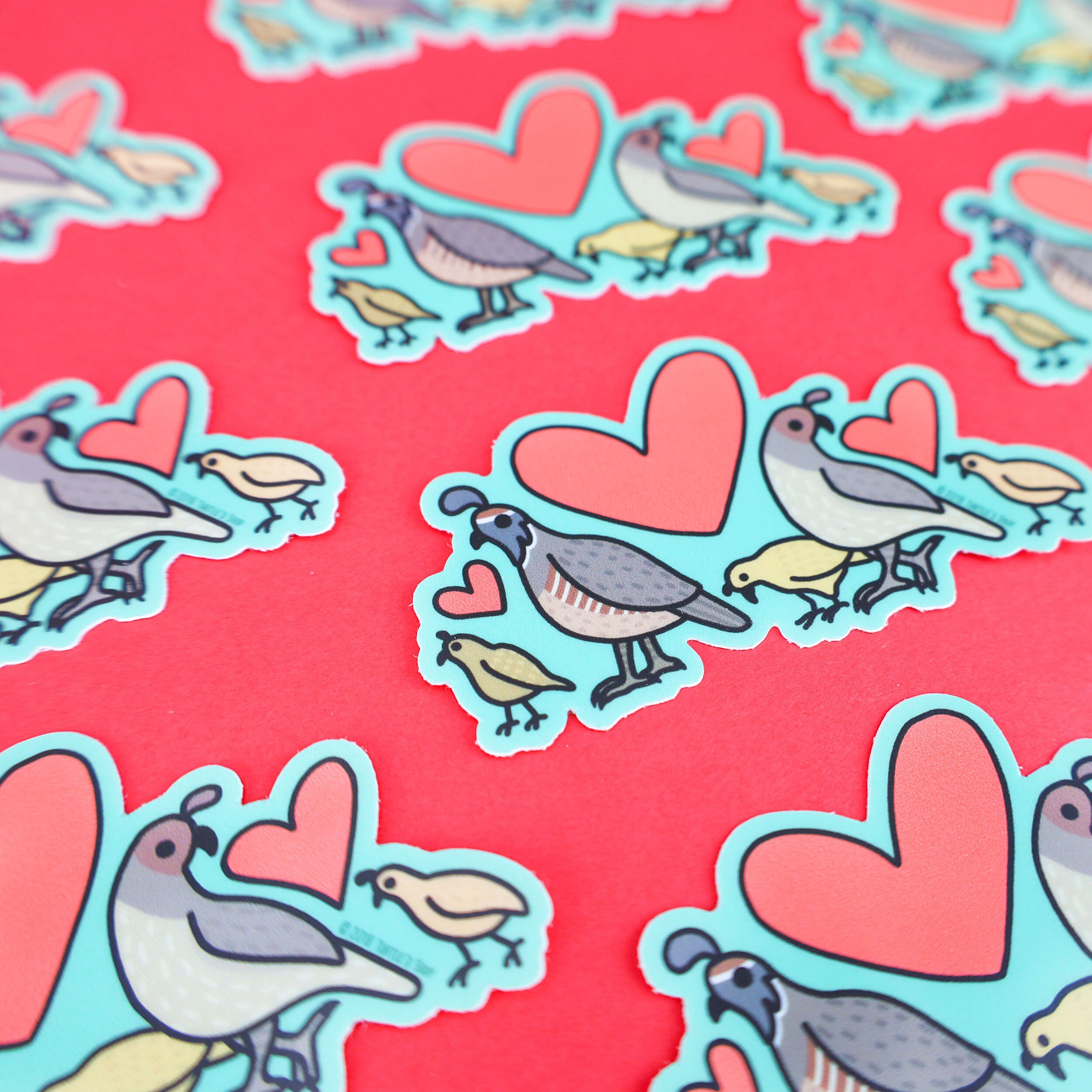 Quail Sticker Gambel Quail Southwestern Bird Stickers Cute | Etsy