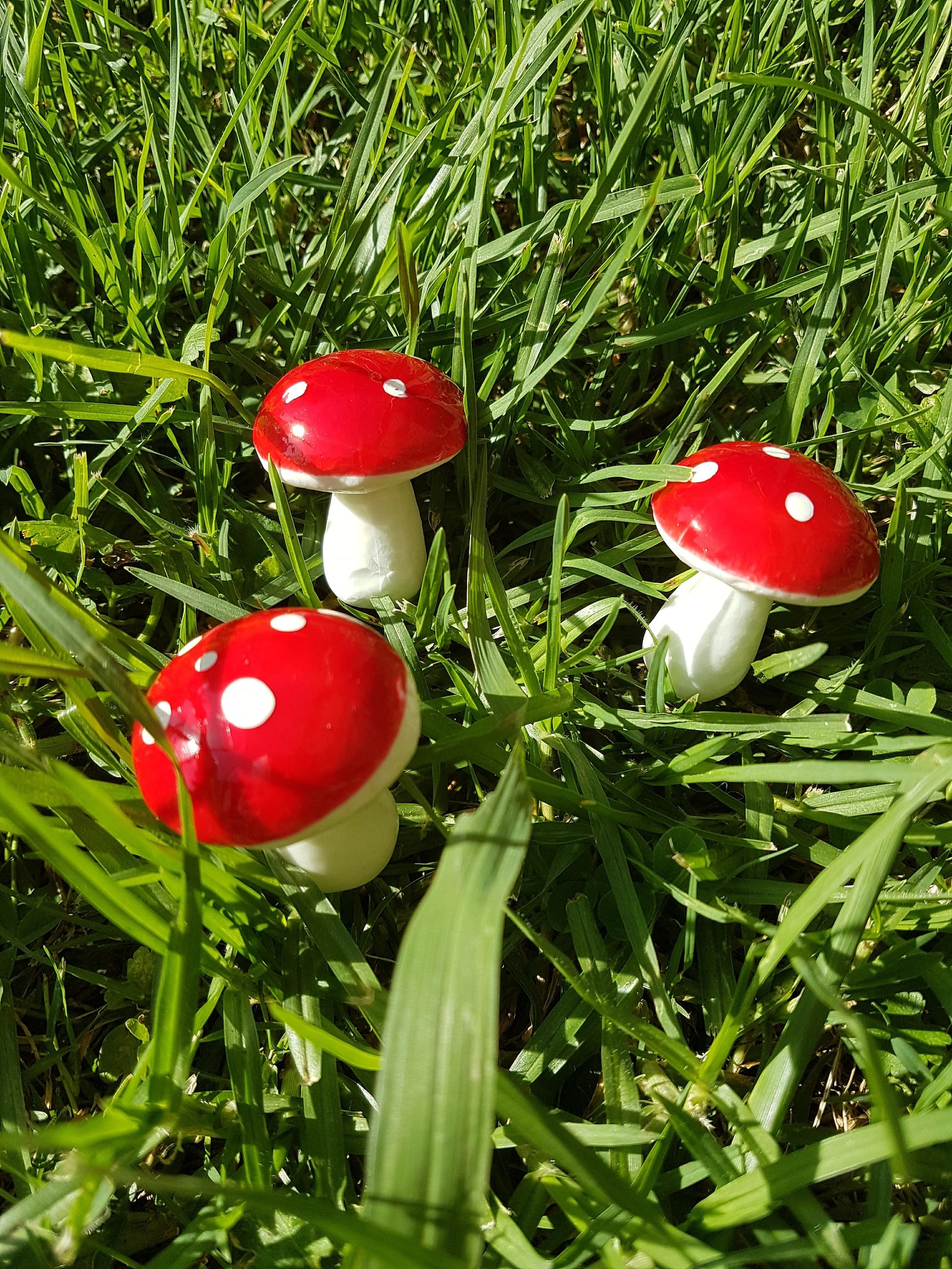 Mini Toadstool Red and White Toadstool Woodland Birthday - Etsy Australia