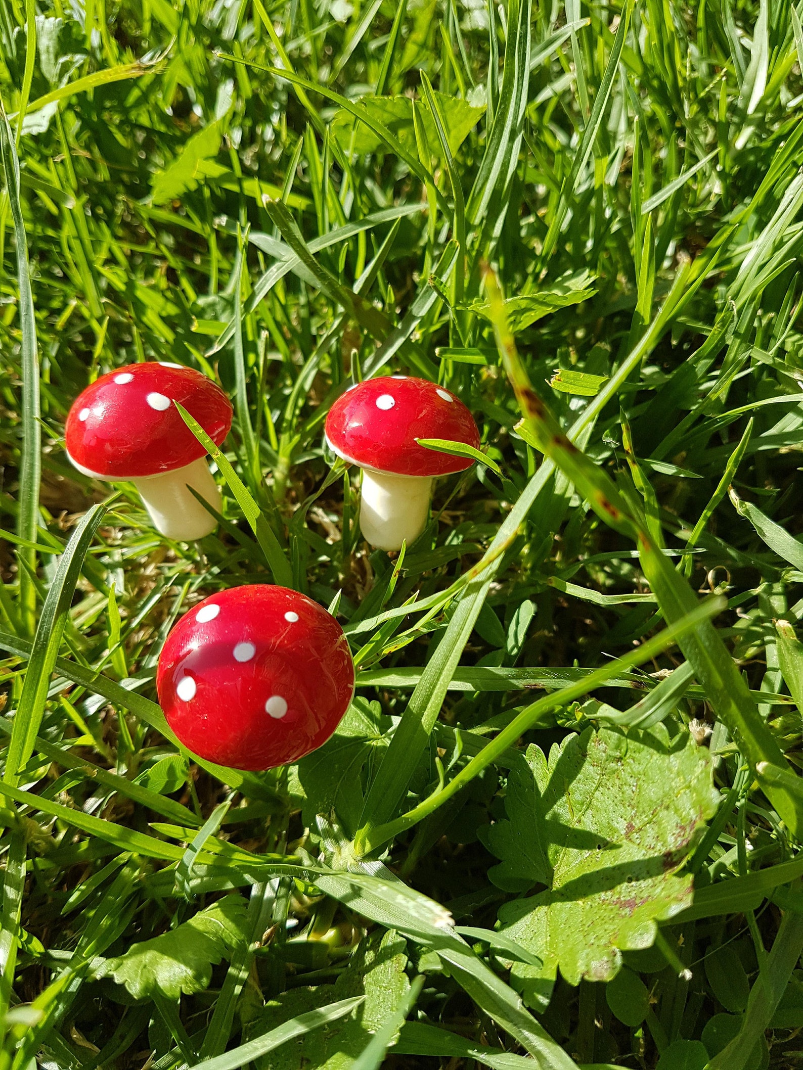 Mini toadstool red and white toadstool woodland birthday | Etsy