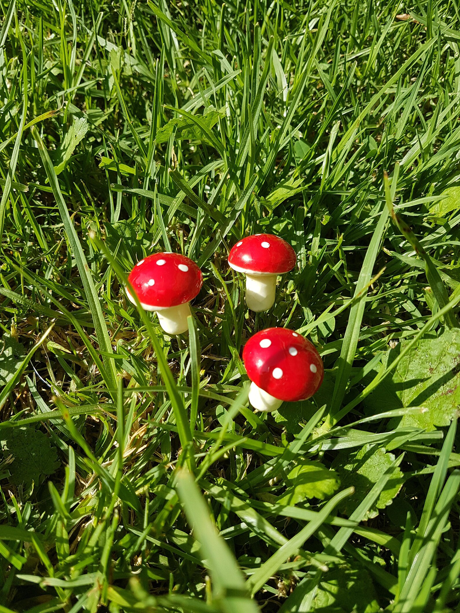 Mini toadstool red and white toadstool woodland birthday | Etsy