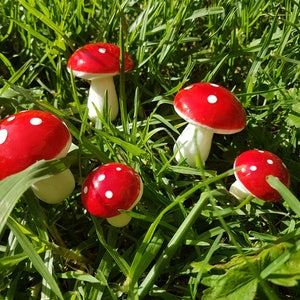 Mini Toadstool, Red and White Toadstool, Woodland Birthday, Polka Dot ...