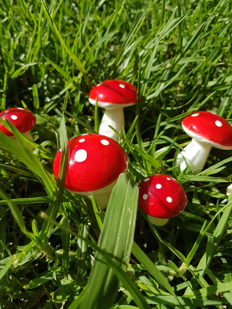 Mini Toadstool, Red and White Toadstool, Woodland Birthday, Polka Dot ...