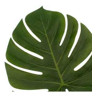 10 Sml X Monstera Leaf, Leaf Placemat, Tropical Leaves, Artificial Leaf ...