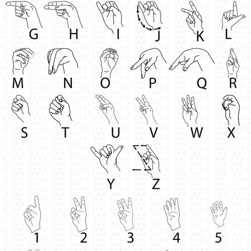 Baby Watercolor Woodland Animals Cute Raccoon Bear Bunny Deer | Etsy