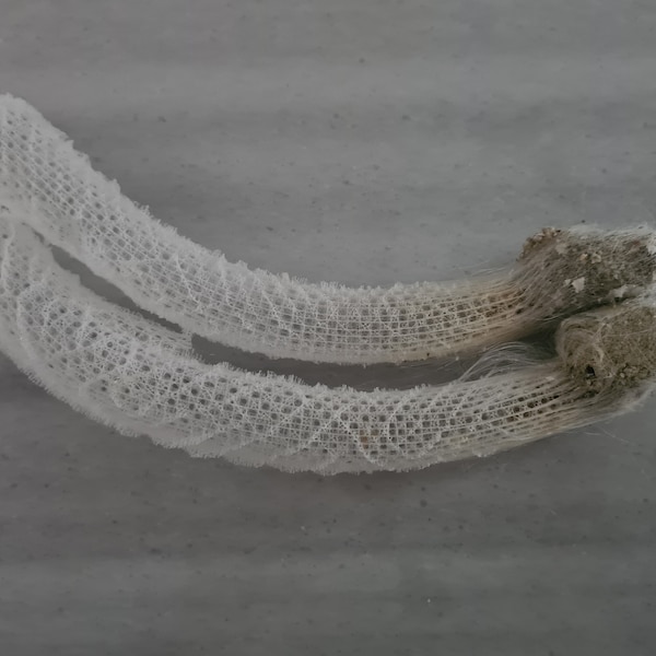 Venus Flower Basket - Etsy